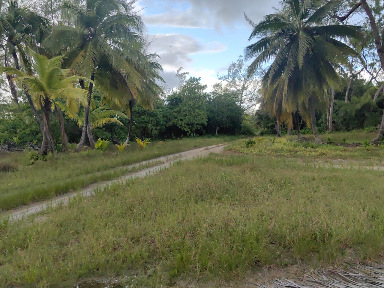 Agaléga : un joyau insulaire authentique et attachant - Hello Rodrigues
